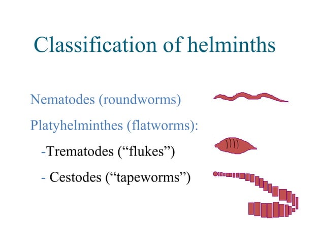 HELMINTHIASIS HELMINTHIC INFECTION