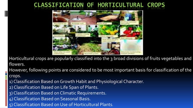 Horticultural crop marketing through modern techniques and approaches ...