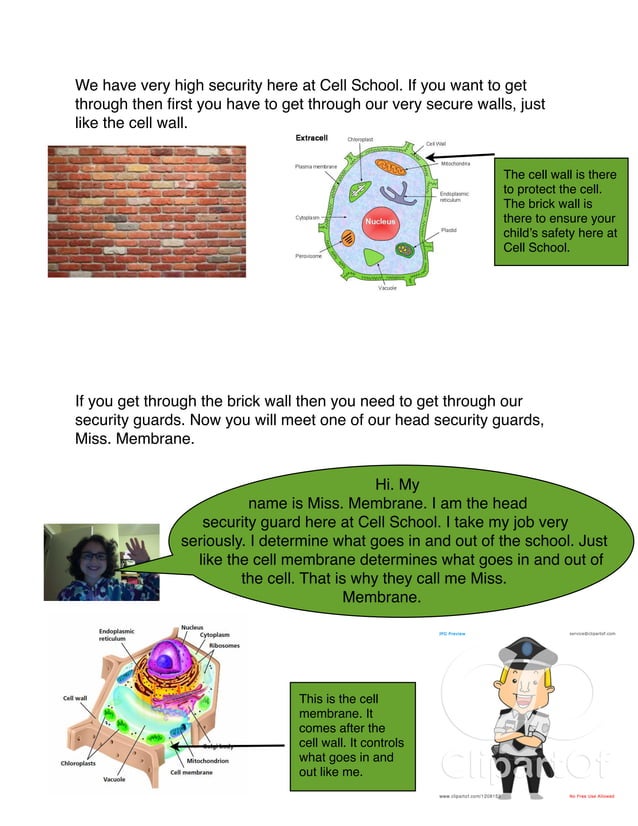 Shayna's cell project | PDF