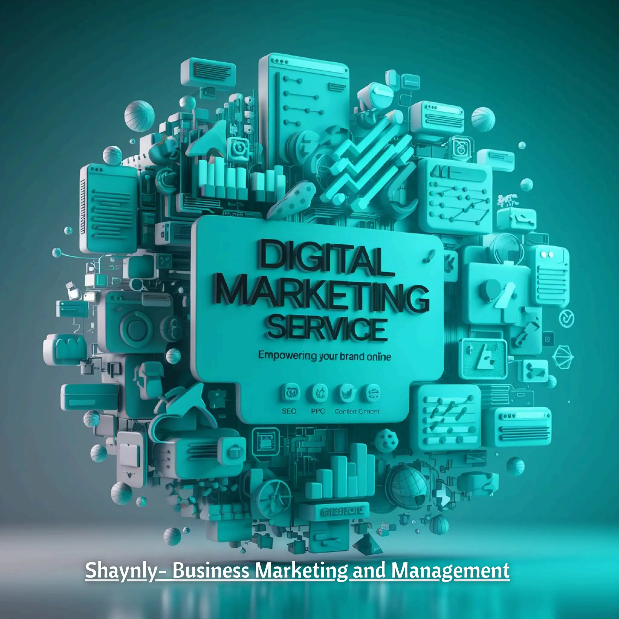 Shaynly- Business Marketing and Management.pdf