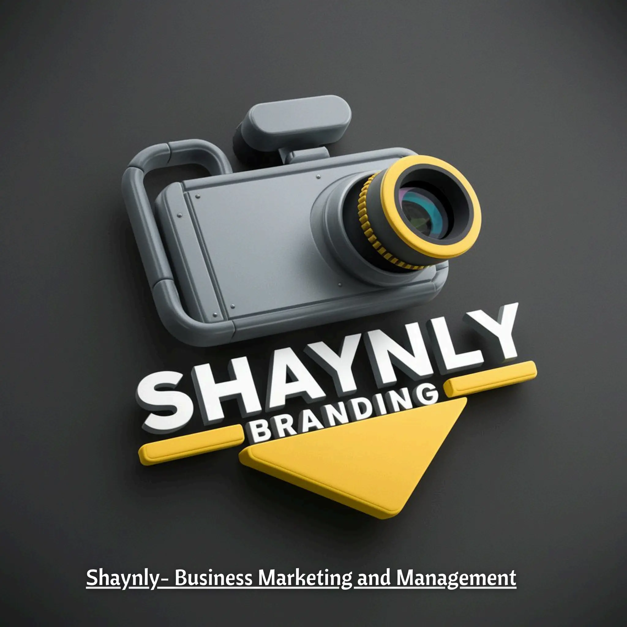 Shaynly- Business Marketing and Management.pdf