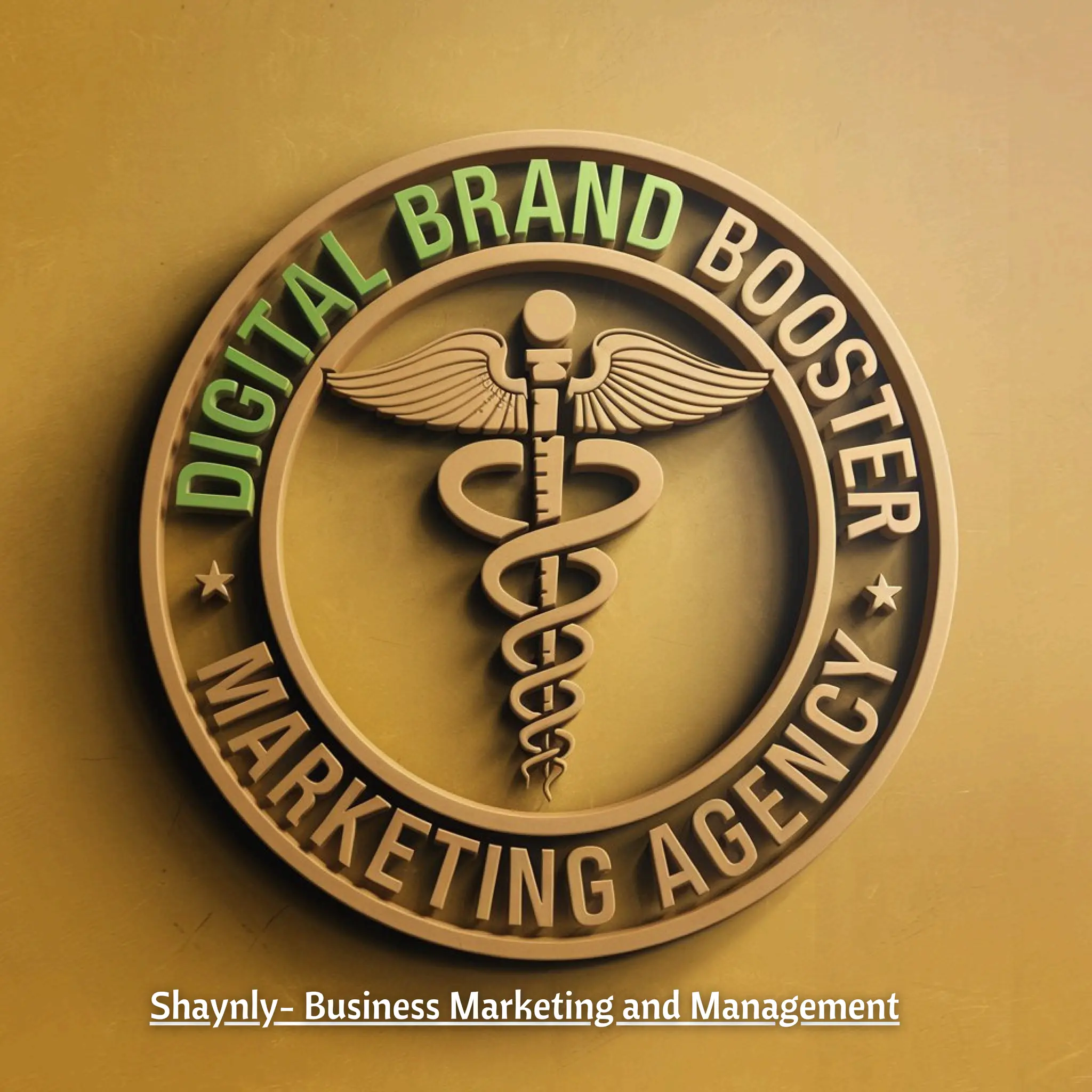 Shaynly- Business Marketing and Management.pdf