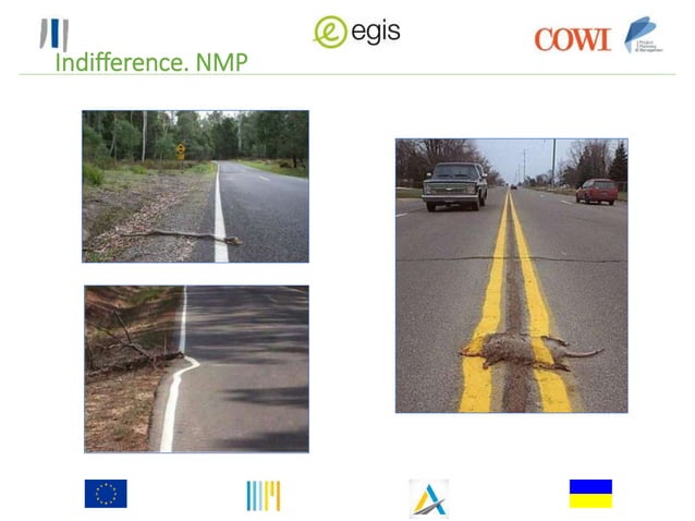 Road Safety Faults in Road Construction EN | PPT