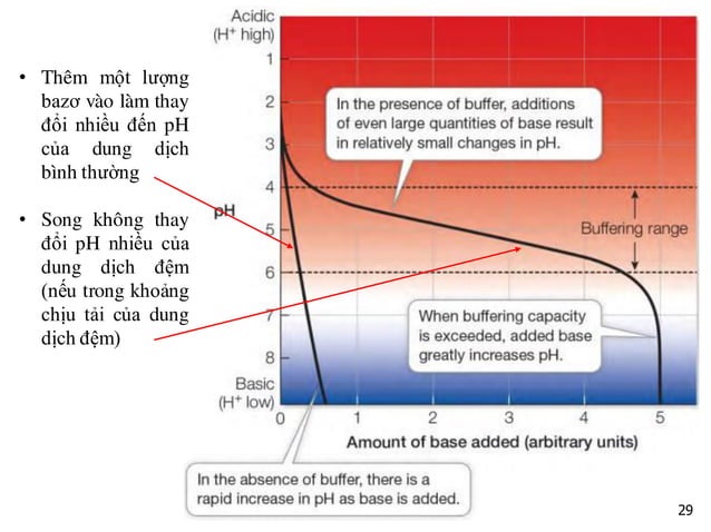 Thành phần hóa học của cơ thể sống - Sinh học đại cương | PDF