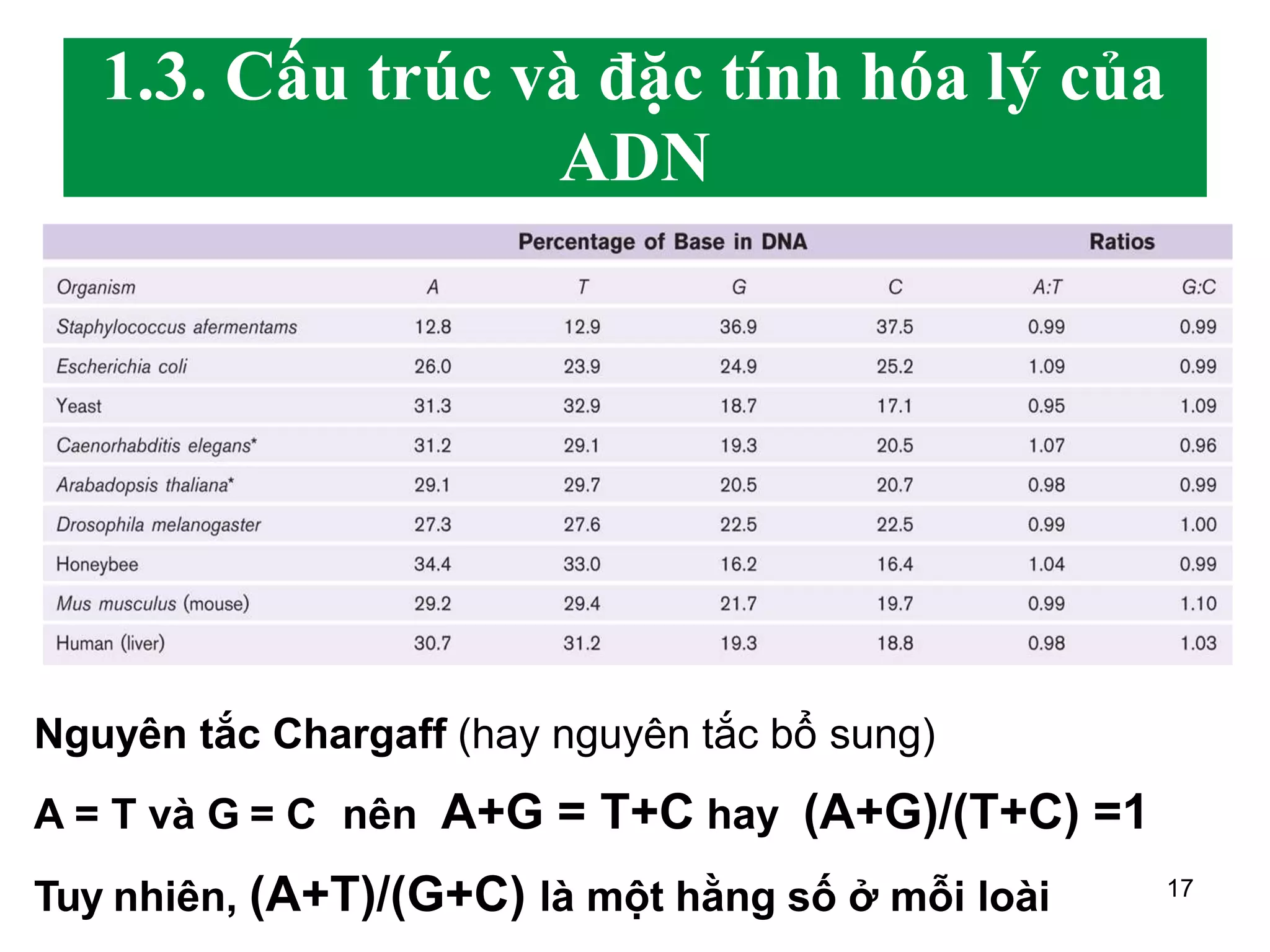 Cơ sở phân tử & tế bào của hiện tượng di truyền - Sinh học đại cương | PPTX