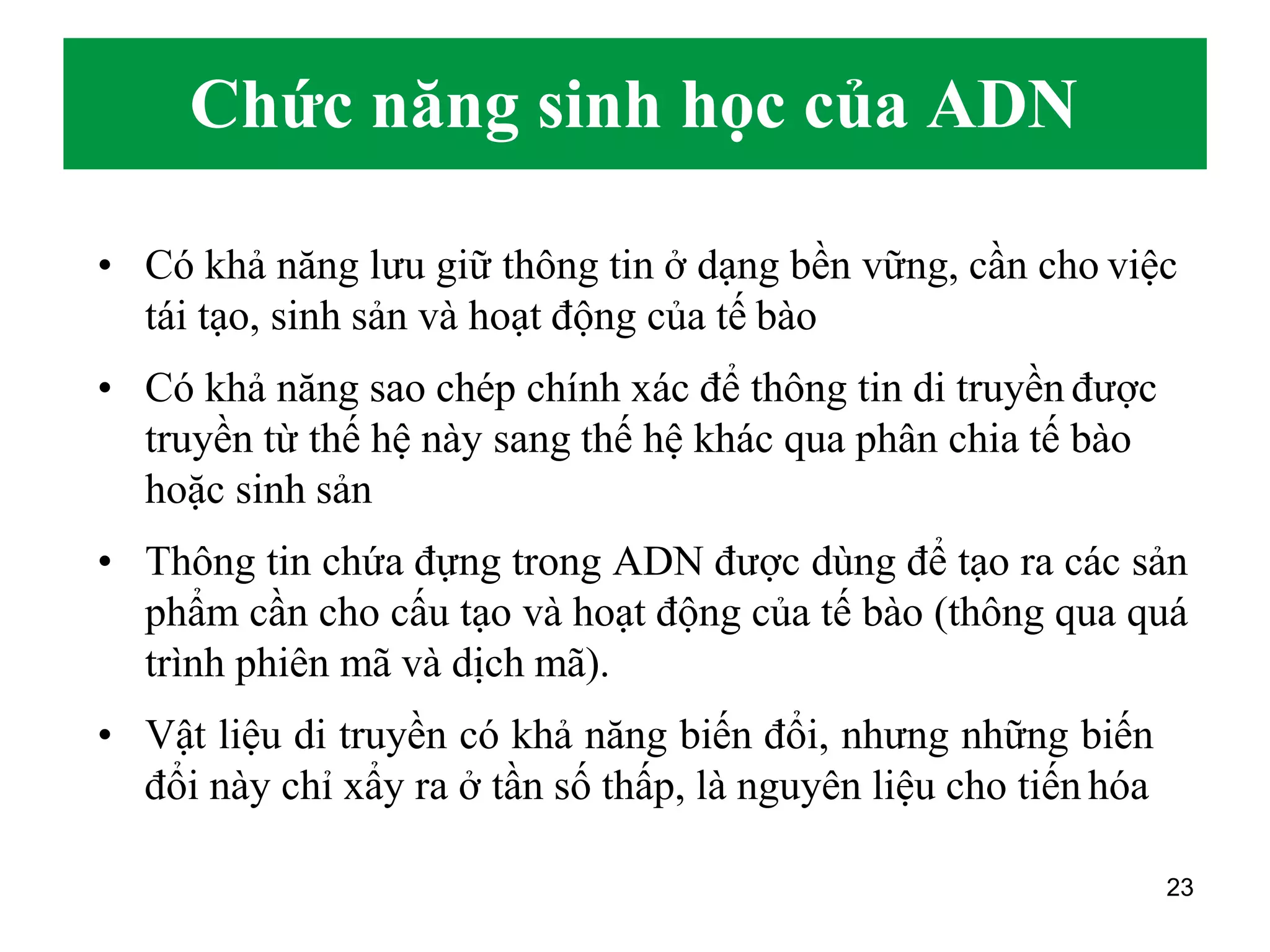 Cơ sở phân tử & tế bào của hiện tượng di truyền - Sinh học đại cương | PPTX