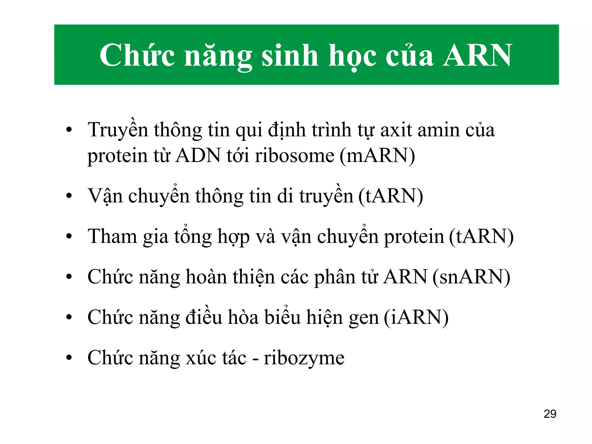 Cơ sở phân tử & tế bào của hiện tượng di truyền - Sinh học đại cương | PPTX