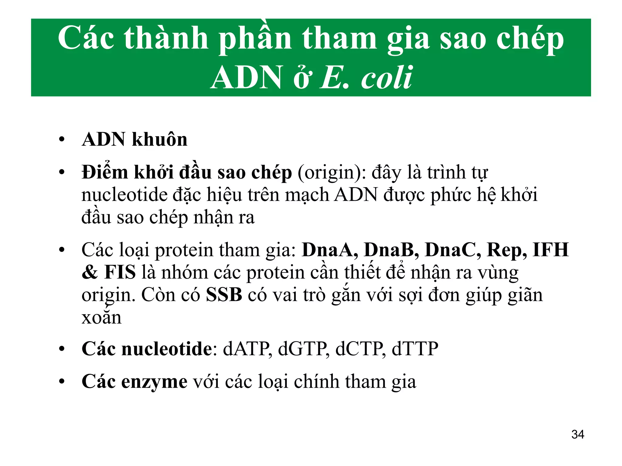 Cơ sở phân tử & tế bào của hiện tượng di truyền - Sinh học đại cương | PPTX