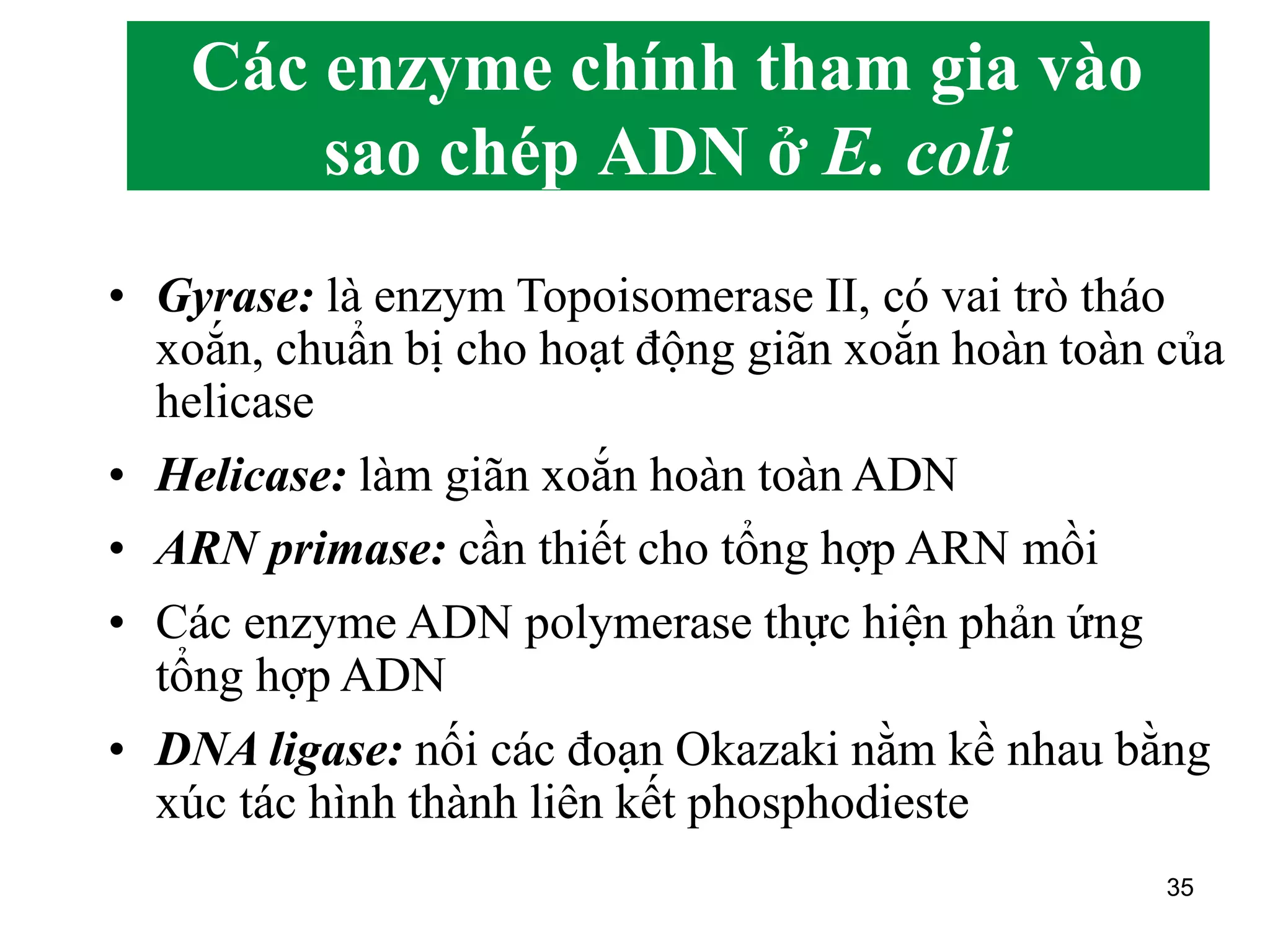 Cơ sở phân tử & tế bào của hiện tượng di truyền - Sinh học đại cương | PPTX