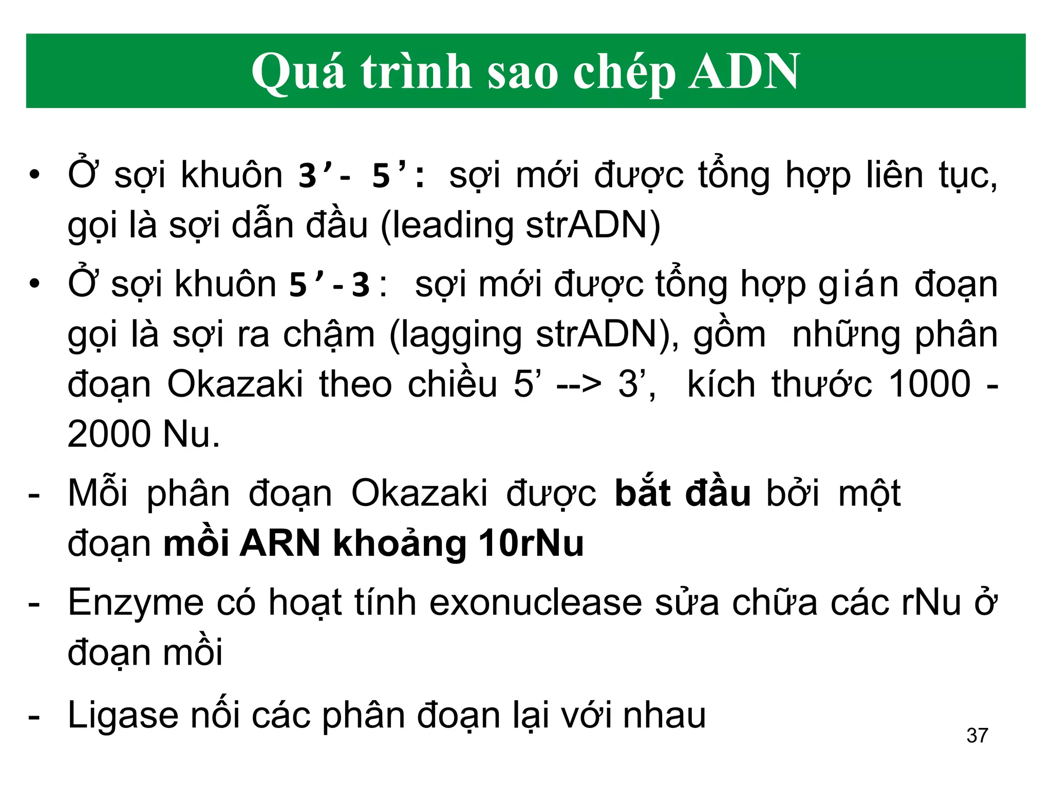 Cơ sở phân tử & tế bào của hiện tượng di truyền - Sinh học đại cương | PPTX