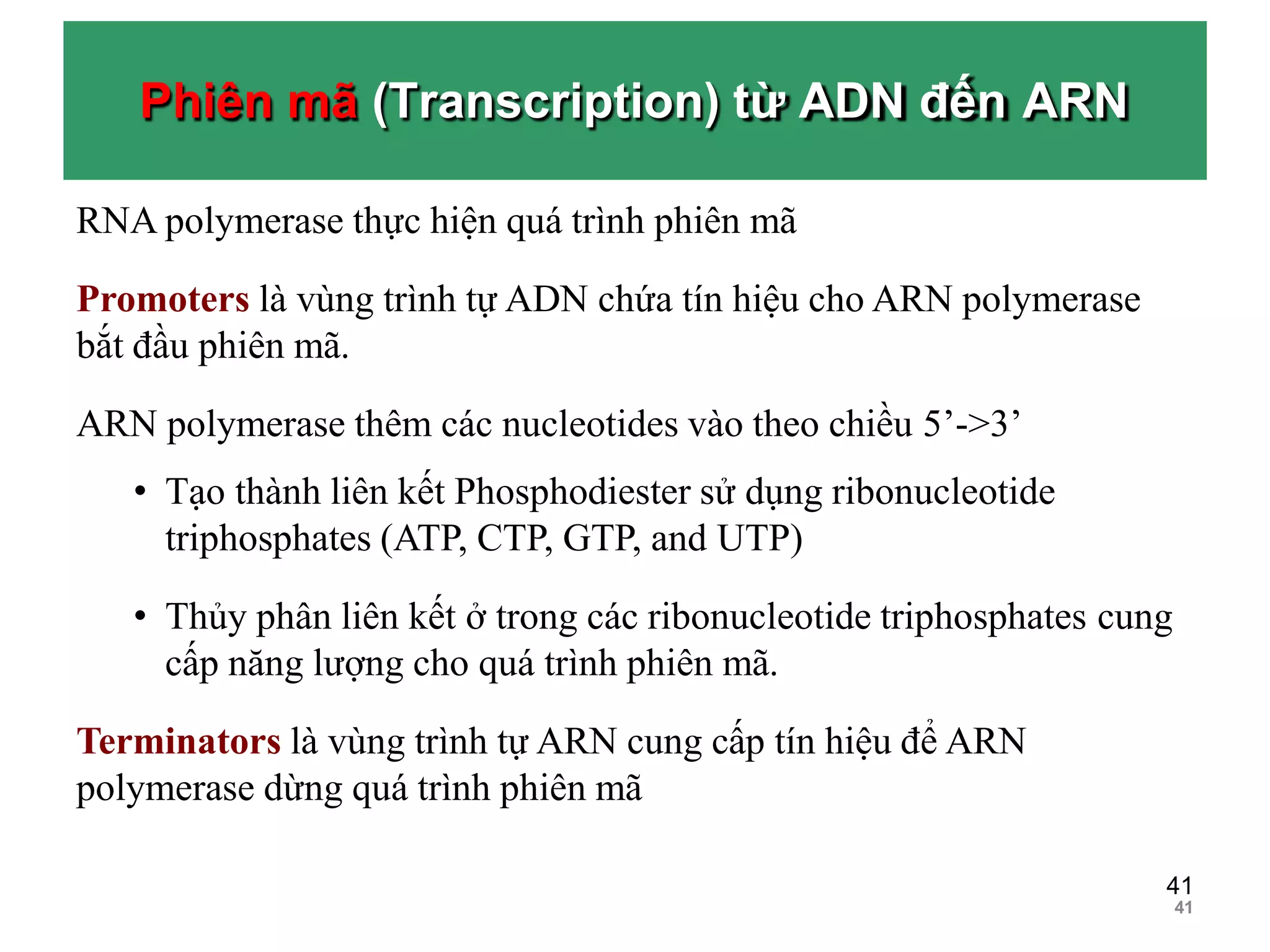 Cơ sở phân tử & tế bào của hiện tượng di truyền - Sinh học đại cương | PPTX