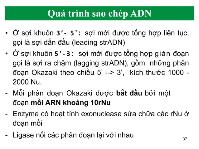 Cơ sở phân tử & tế bào của hiện tượng di truyền - Sinh học đại cương | PPTX