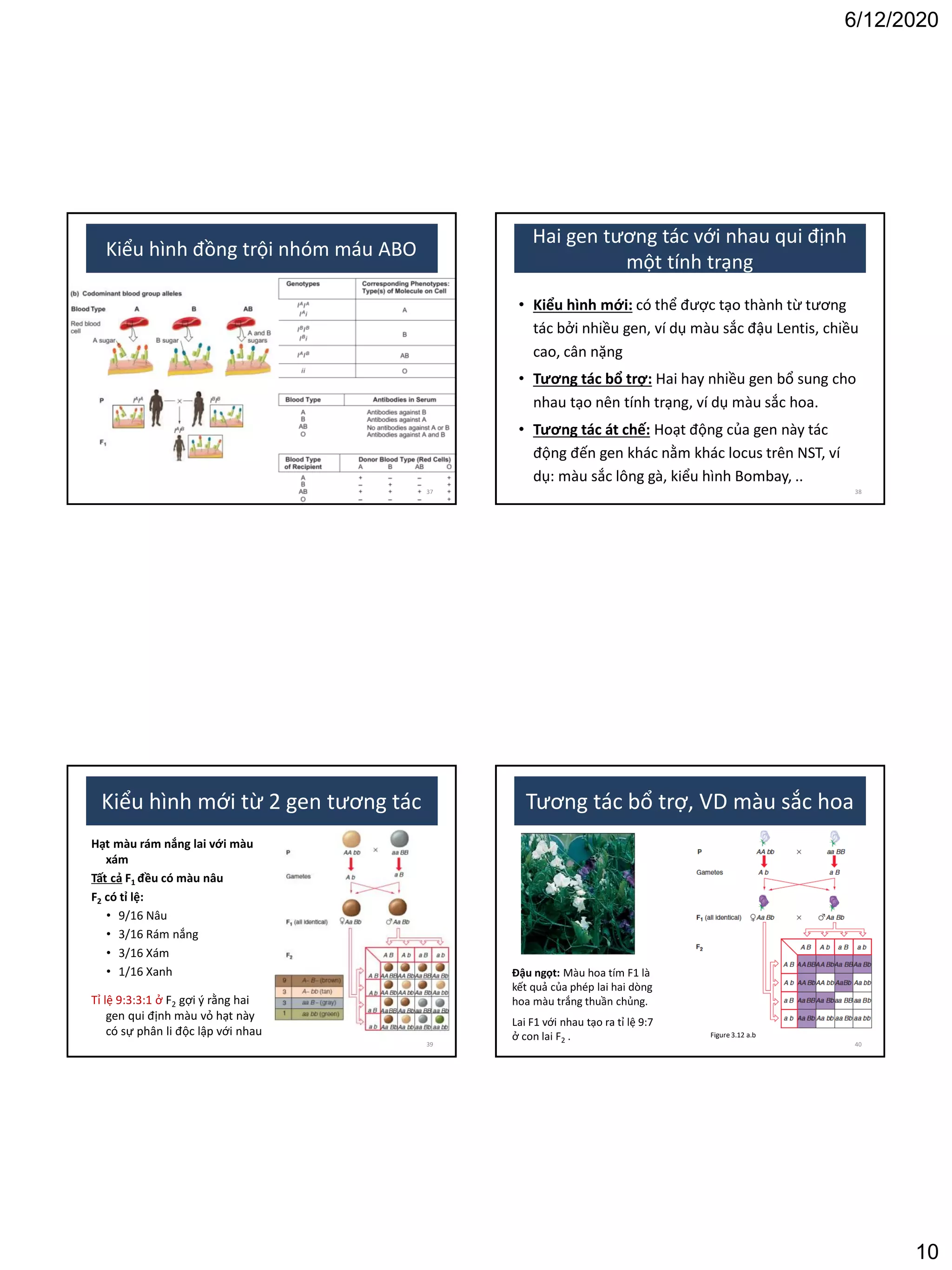 Cơ sở di truyền học & tiến hóa - Sinh học đại cương | PDF