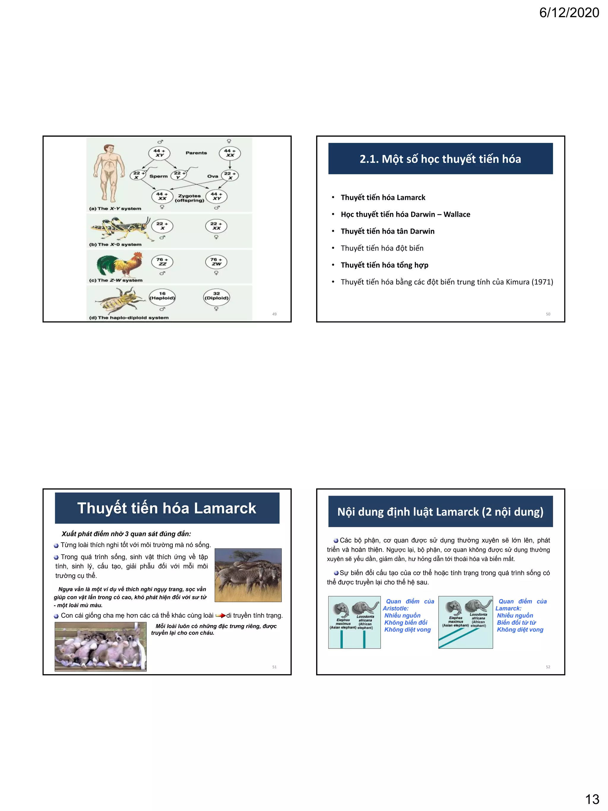 Cơ sở di truyền học & tiến hóa - Sinh học đại cương | PDF