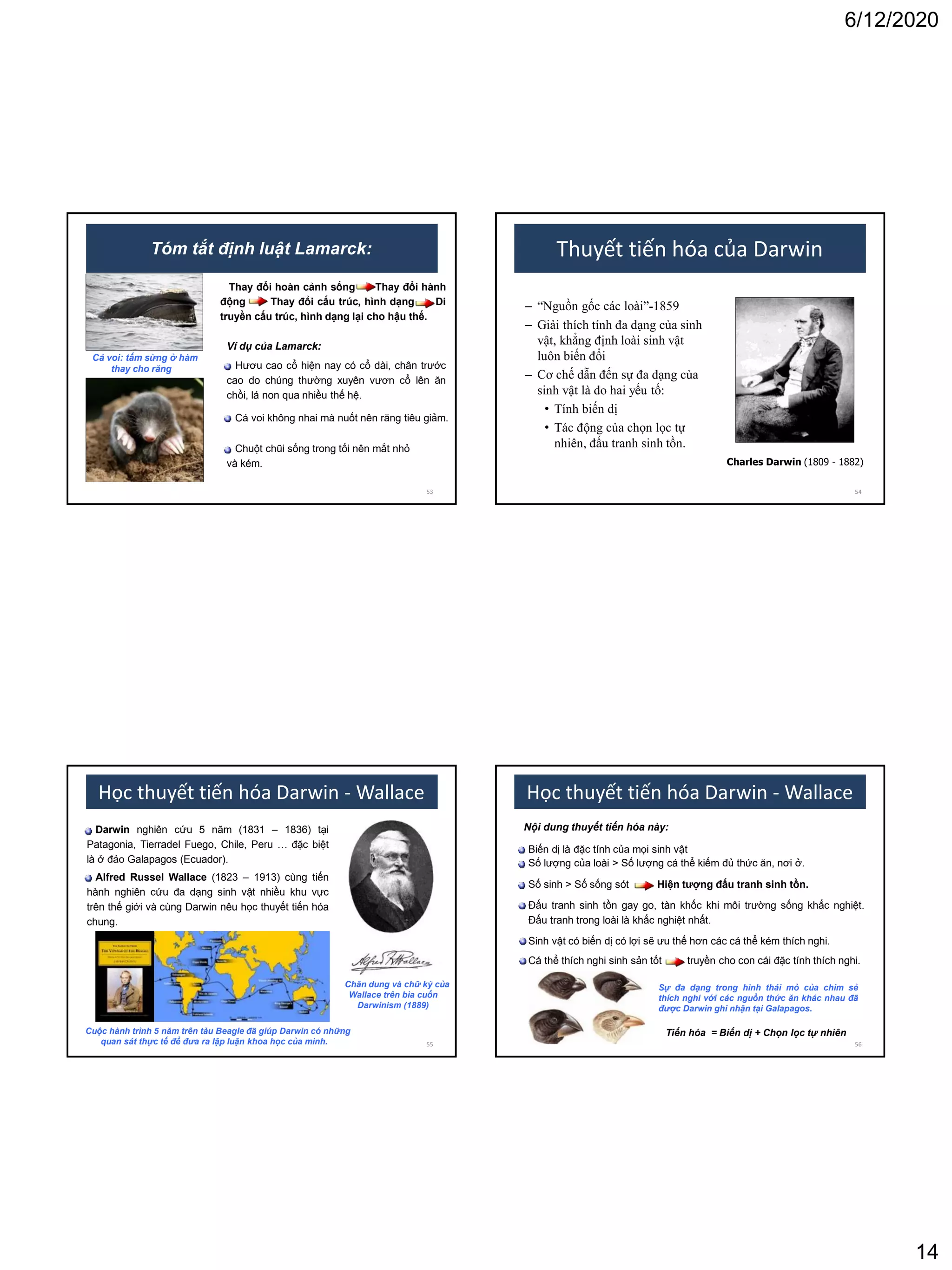 Cơ sở di truyền học & tiến hóa - Sinh học đại cương | PDF