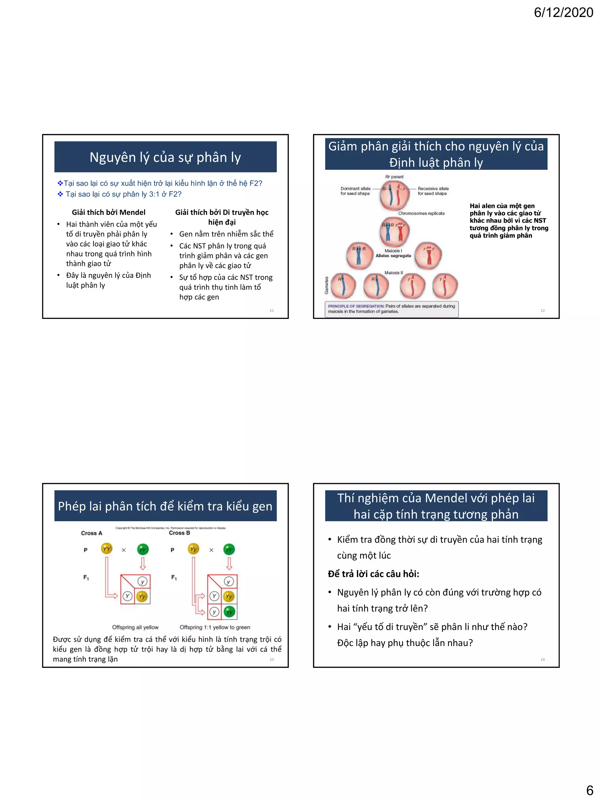 Cơ sở di truyền học & tiến hóa - Sinh học đại cương | PDF