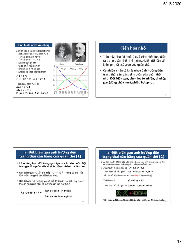 Cơ sở di truyền học & tiến hóa - Sinh học đại cương | PDF