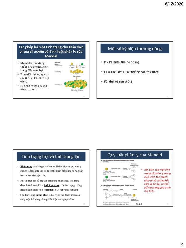 Cơ sở di truyền học & tiến hóa - Sinh học đại cương | PDF