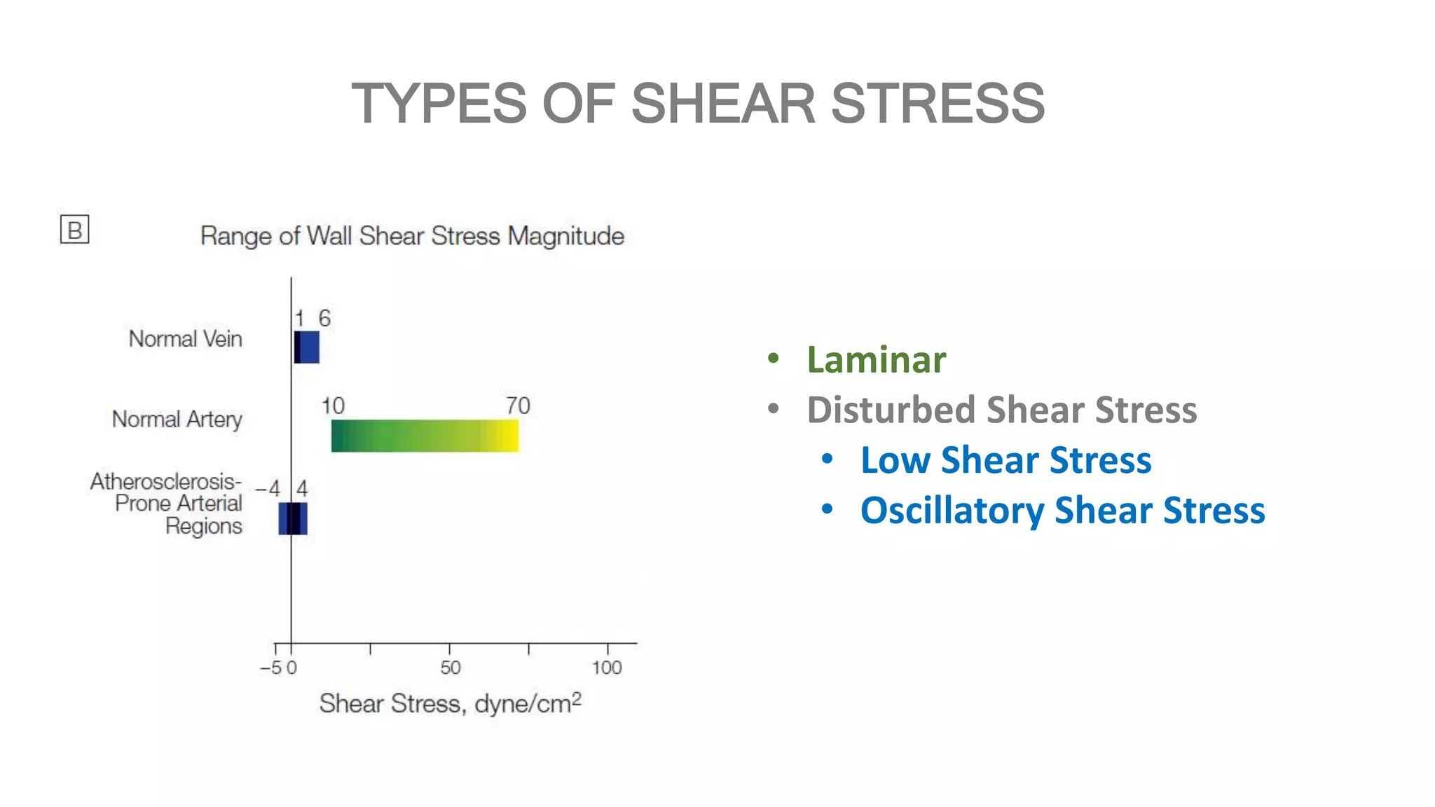 Shear stress Effects on Left Coronary Artery | PPTX