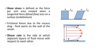 Shear stress Effects on Left Coronary Artery | PPTX