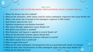 Sheath Rot of Rice | PPTX