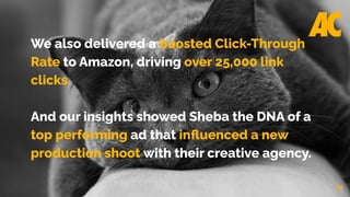 Sheba Caturday Night Case Study | PPT