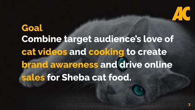 Sheba Caturday Night Case Study | PPT