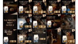 Sheba Caturday Night Case Study | PPT