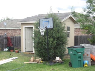 Shed | PPTX