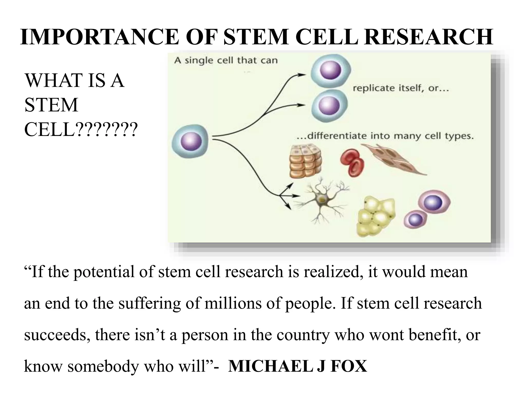 STEM CELLS IN HUMAN EXFOLIATED DECIDUOUS TEETH(SHED) | PPTX