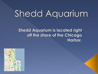 Shedd aquarium | PPTX | Zoos & Aquariums | Attractions