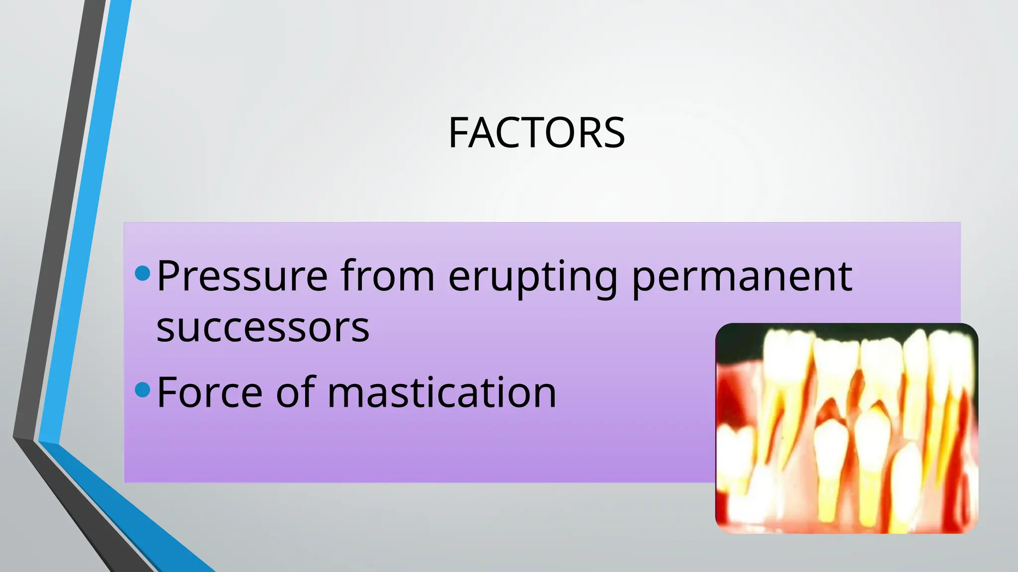 SHEDDING OF TEETH - INTRODUCTION AND HISTOLOGY | PPTX