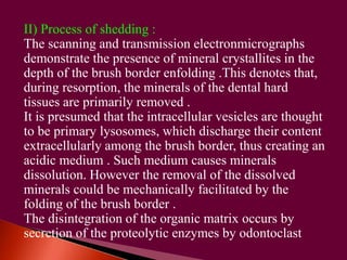 Shedding of deciduous teeth | PPTX