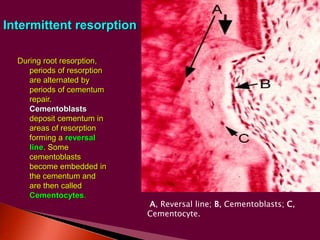 Shedding of deciduous teeth | PPTX