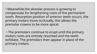 Shedding of deciduous teeth VEDIKA.pptx nd | PPTX