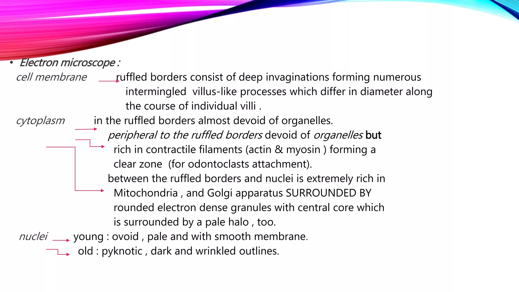 Shedding of the deciduous teeth | PPTX