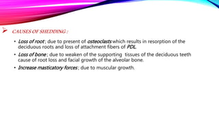 Shedding of the deciduous teeth | PPTX