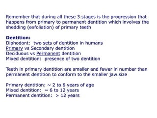 shedding of the teeth.PPT