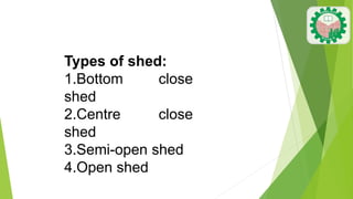 Shed geometry-DUET | PPTX