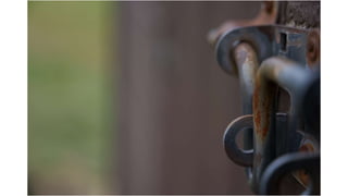 Shed Viewpoint Series | PPTX