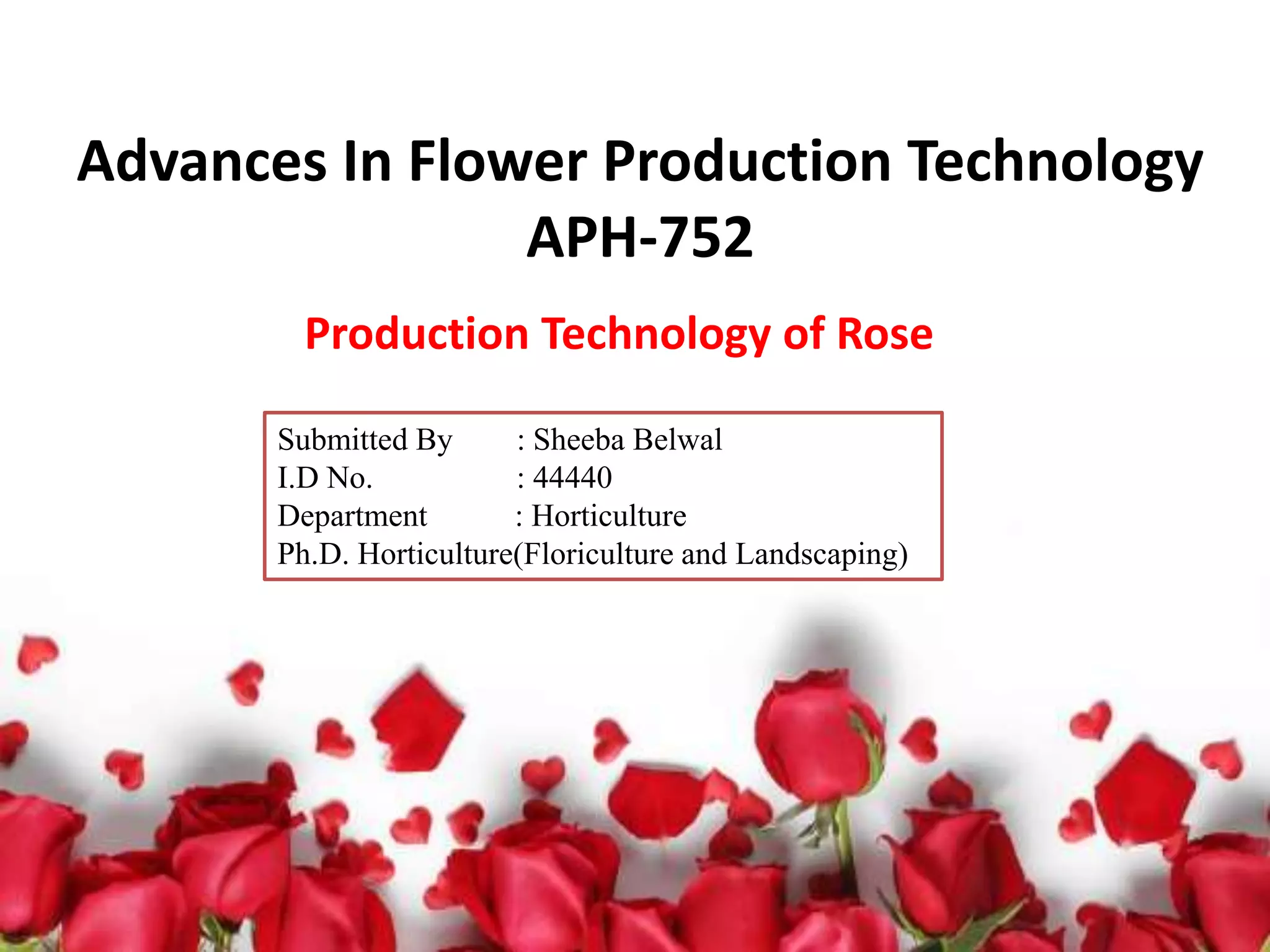 Production Technology of Roses In India | PPTX
