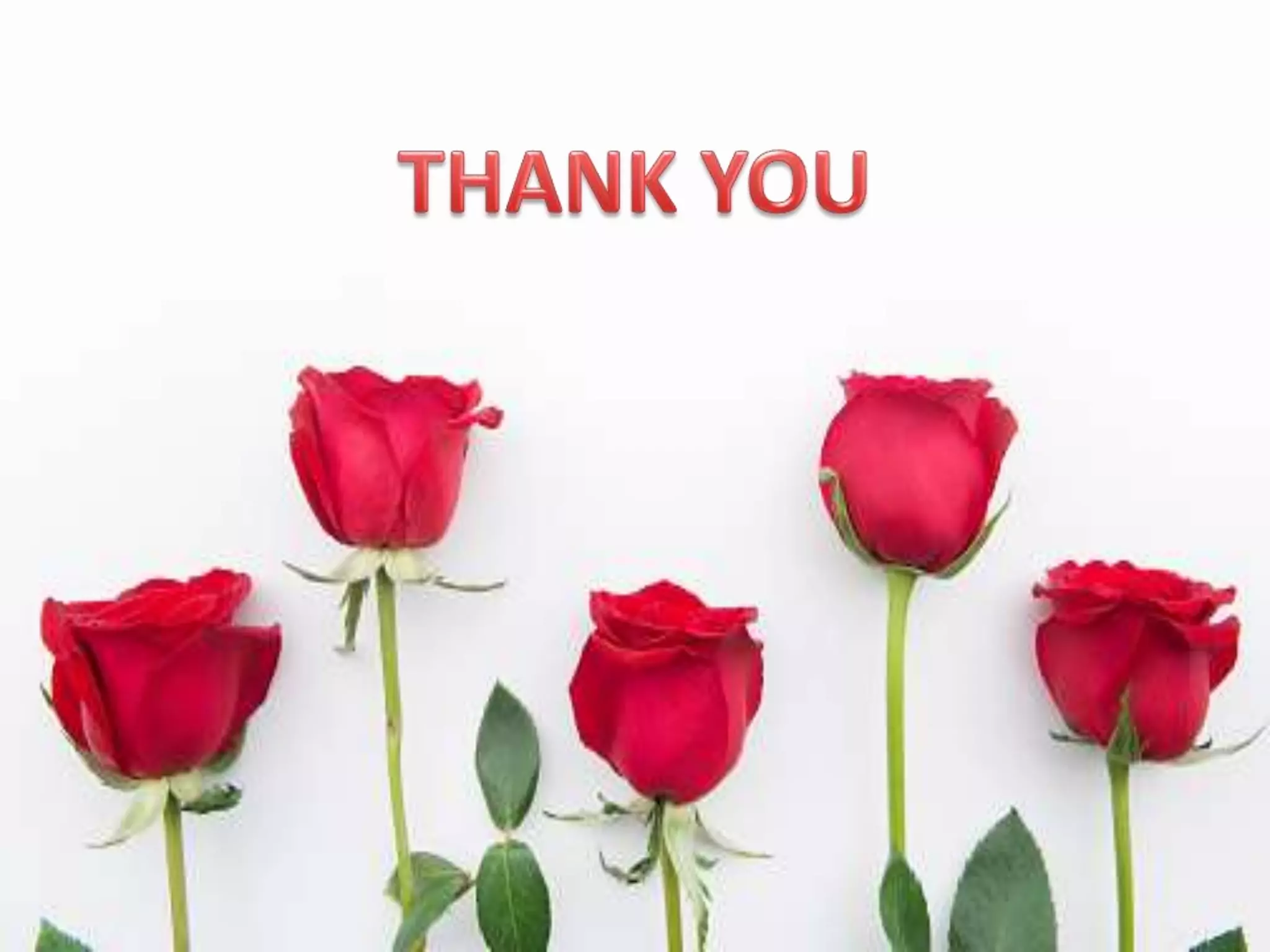 Production Technology of Roses In India | PPTX