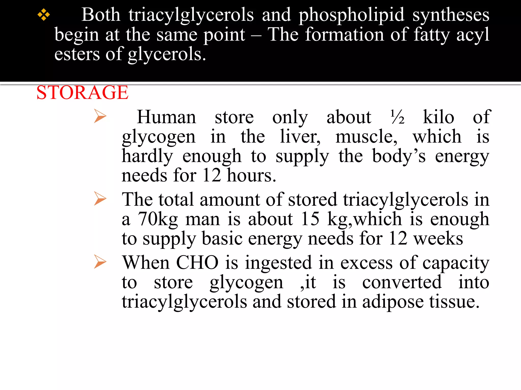 Sheeba biosynthesis and regulation of triacylglycerol and ketonebodies ...