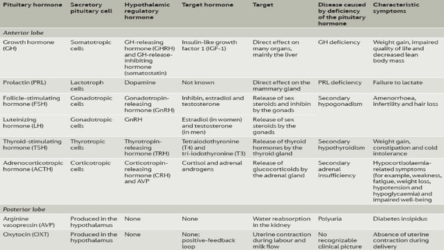 Sheehan's syndrome | PPTX | Pregnancy | Reproductive Health