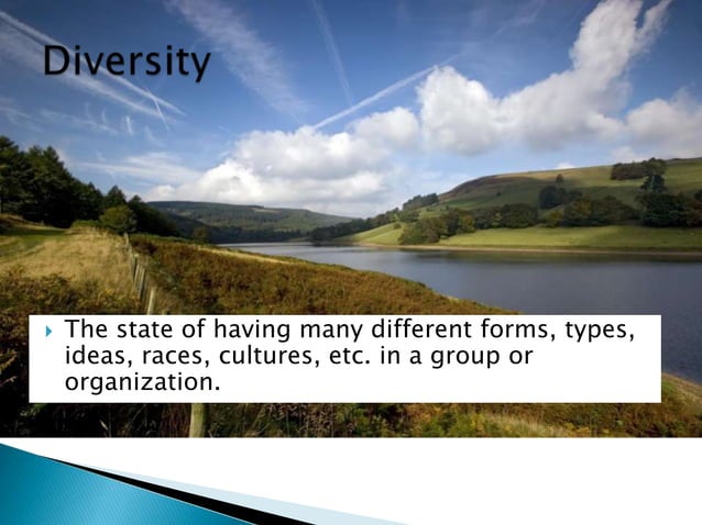 recognizing and managing diversity | PPTX | Debated Sensitive Social ...