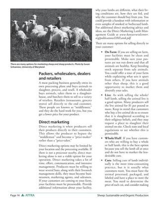 Sheep: Sustainable and Organic Production | PDF