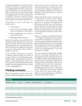 Sheep: Sustainable and Organic Production | PDF