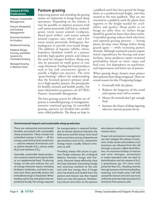 Sheep: Sustainable and Organic Production | PDF