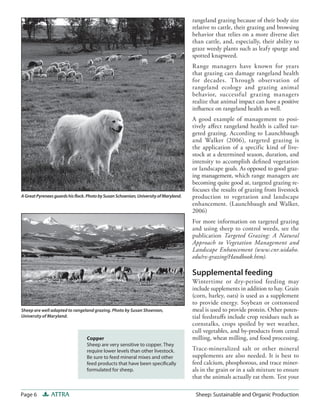 Sheep: Sustainable and Organic Production | PDF