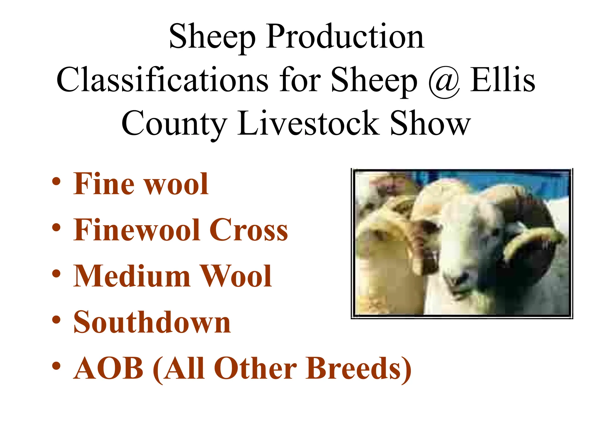 SHEEP animal science presentation for ag | PPTX